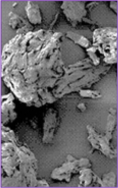 Nootopia | GABAlicious