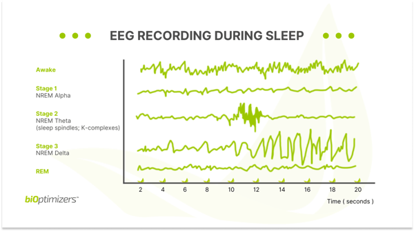 Bioptimizers | Sleep Breakthrough